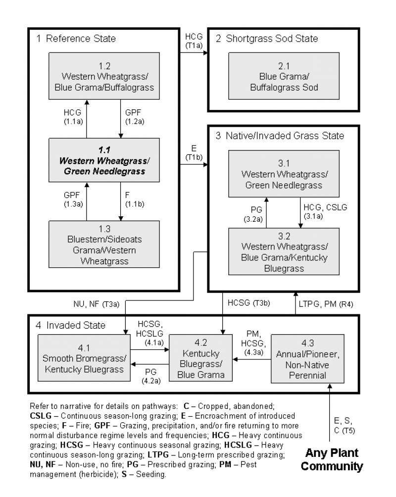Ecological site R055CY011SD