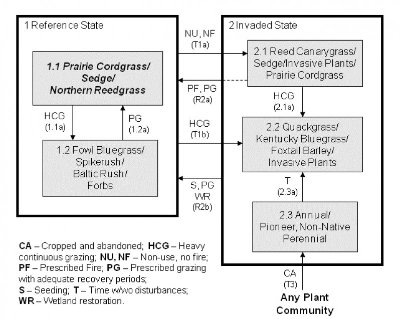 Ecological site R053CY004SD