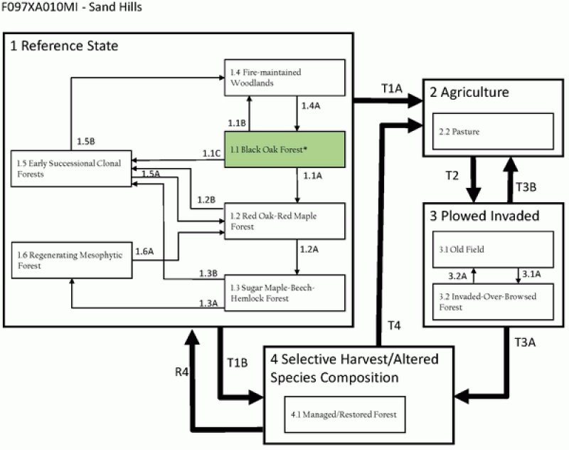 Ecological site F097XA010MI