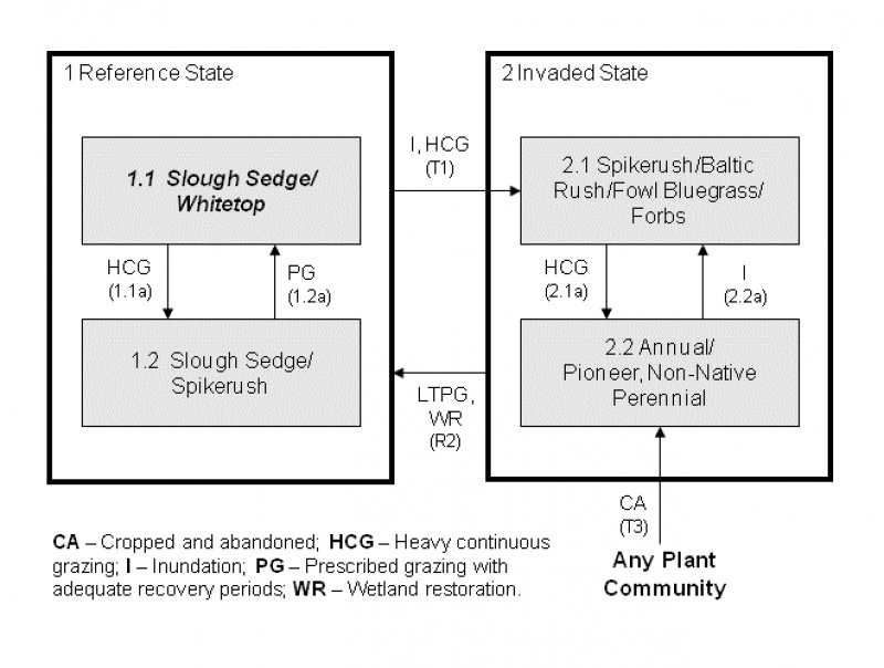 Ecological site R102BY001SD